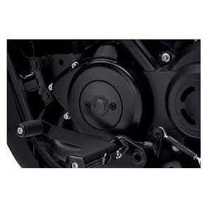 Willie G TM Skull Collection - Caps Harley-Davidson